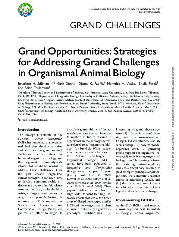 (PDF) Grand Opportunities: Strategies for Addressing Grand Challenges ...