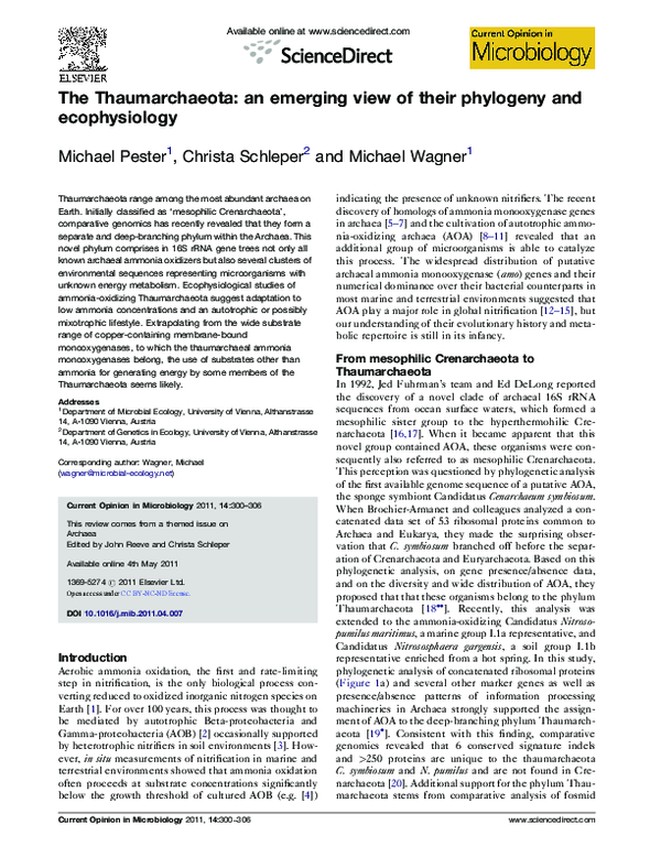 (PDF) The Thaumarchaeota: an emerging view of their phylogeny and ...