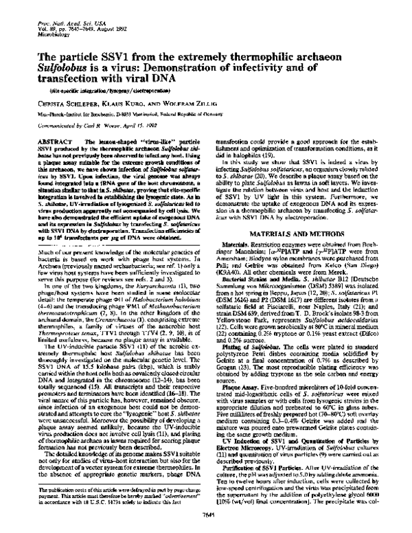 (PDF) The particle SSV1 from the extremely thermophilic archaeon ...