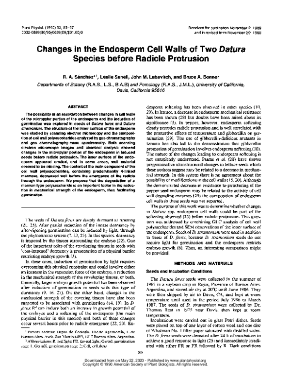 (PDF) Changes in the Endosperm Cell Walls of Two Datura Species before ...