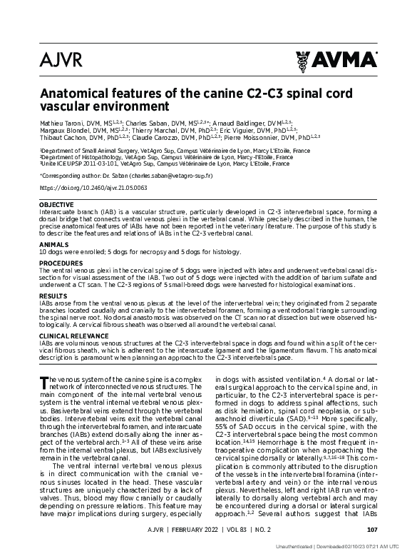 (PDF) Anatomical features of the canine C2-C3 spinal cord vascular ...