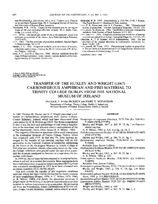 (PDF) Transfer of the Huxley and Wright (1867) Carboniferous amphibian ...