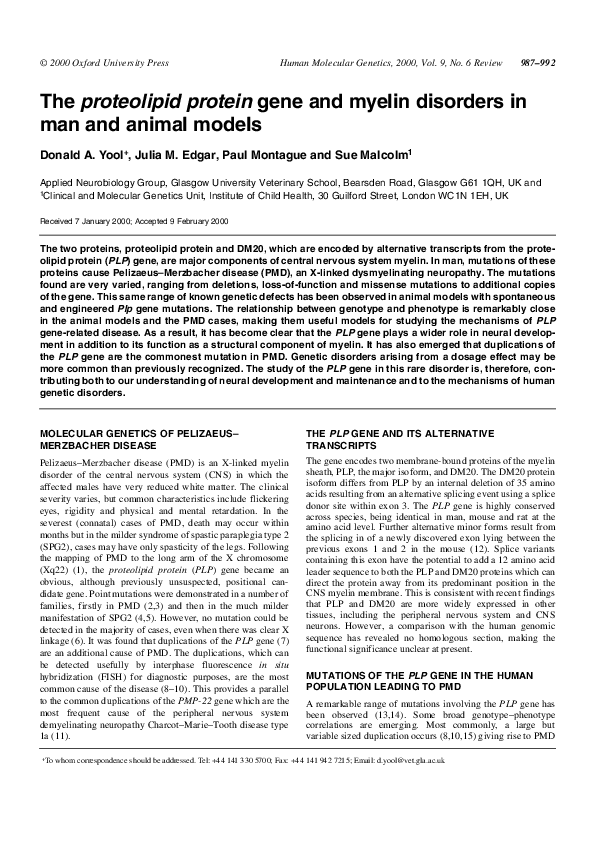 (PDF) The proteolipid protein gene and myelin disorders in man and ...