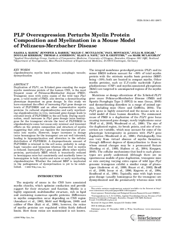 (PDF) PLP overexpression perturbs myelin protein composition and ...