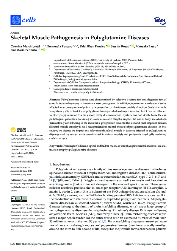 (PDF) Skeletal Muscle Pathogenesis in Polyglutamine Diseases | Maria Pennuto - Academia.edu
