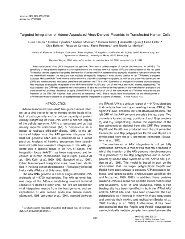 (PDF) Targeted Integration of Adeno-Associated Virus-Derived Plasmids in Transfected Human Cells