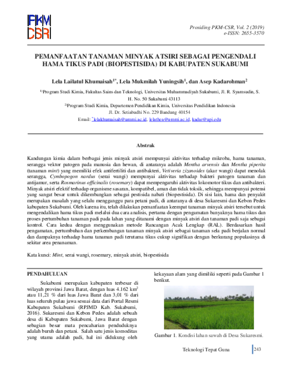 (PDF) Pemanfaatan Tanaman Minyak Atsiri Sebagai Pengendali Hama Tikus ...