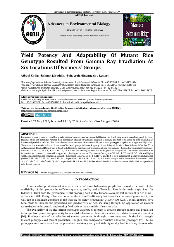 (PDF) Yield Potency And Adaptability Of Mutant Rice Genotype Resulted ...