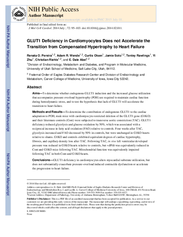 (PDF) GLUT1 deficiency in cardiomyocytes does not accelerate the ...