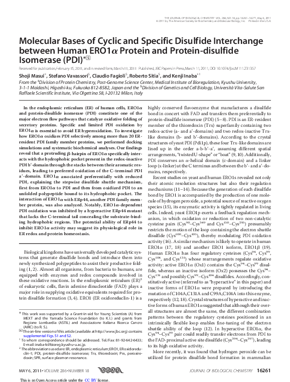 (PDF) Molecular Bases of Cyclic and Specific Disulfide Interchange ...