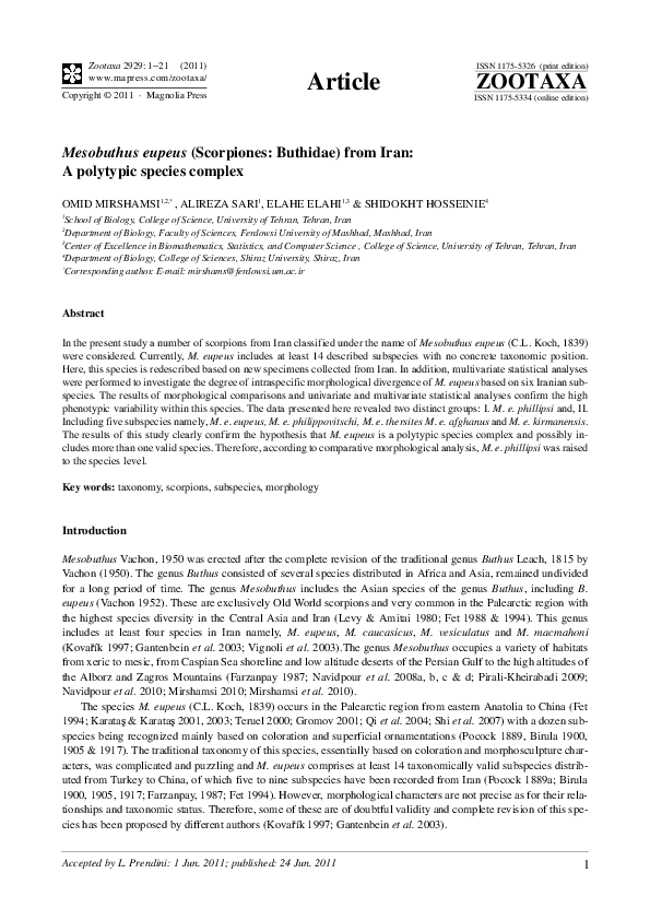 (PDF) Mesobuthus eupeus (Scorpiones: Buthidae) from Iran: A polytypic ...