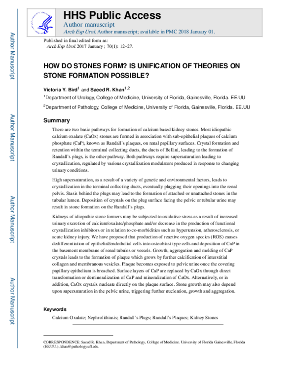 (PDF) How do stones form? Is unification of theories on stone formation ...