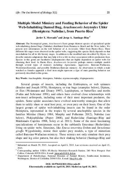 (PDF) Multiple model mimicry and feeding behavior of the spider web ...