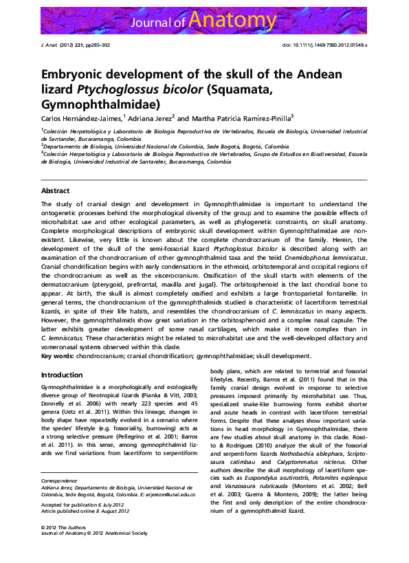 (PDF) Embryonic development of the skull of the Andean lizard ...