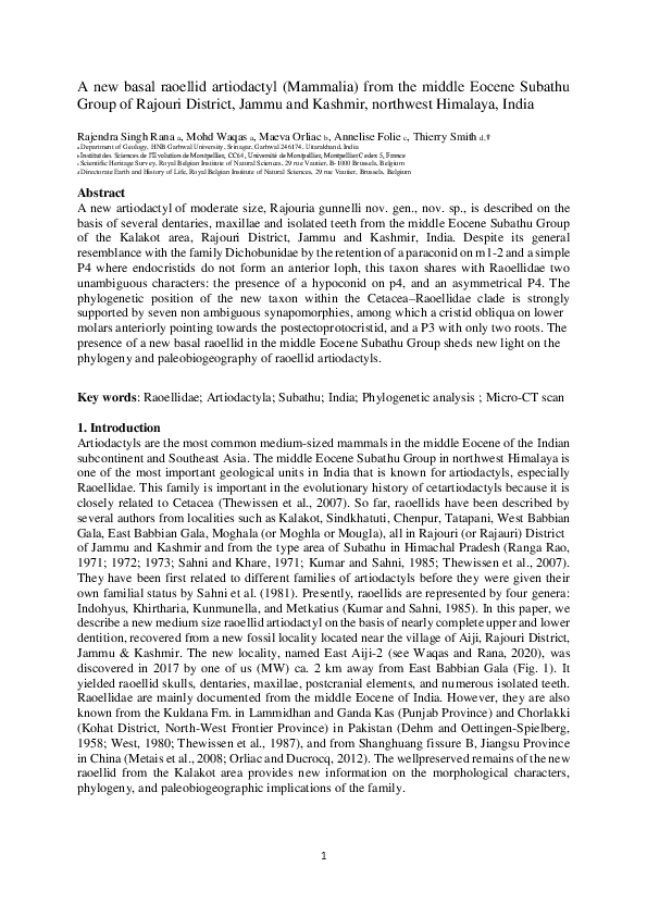 (PDF) A new basal raoellid artiodactyl (Mammalia) from the middle ...