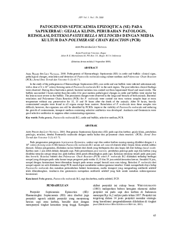 (PDF) Pathogenesis of Haemorrhagic Septicaemia (HS) in cattle and ...
