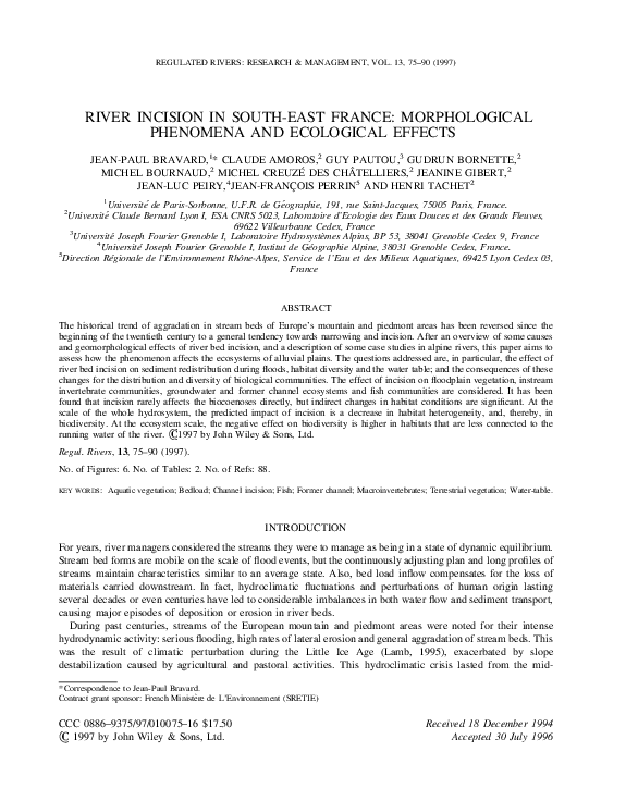 (PDF) River incision in south-east France: morphological phenomena and ...