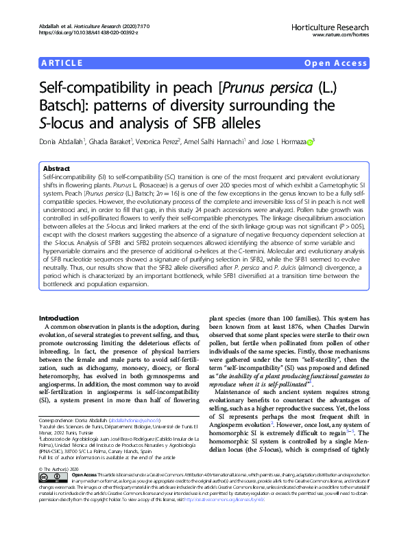 (PDF) Self-compatibility in peach [Prunus persica (L.) Batsch]: patterns of diversity ...