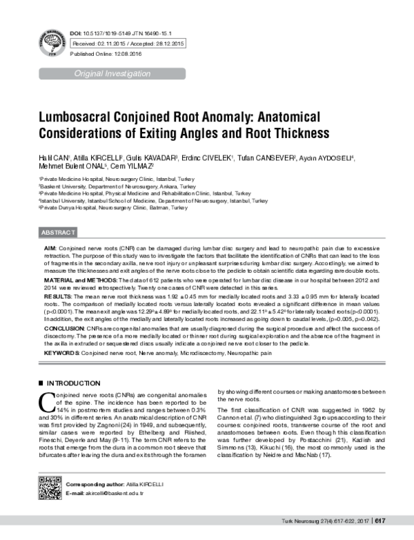 (PDF) Lumbosacral conjoined root anomaly. anatomical considerations of ...