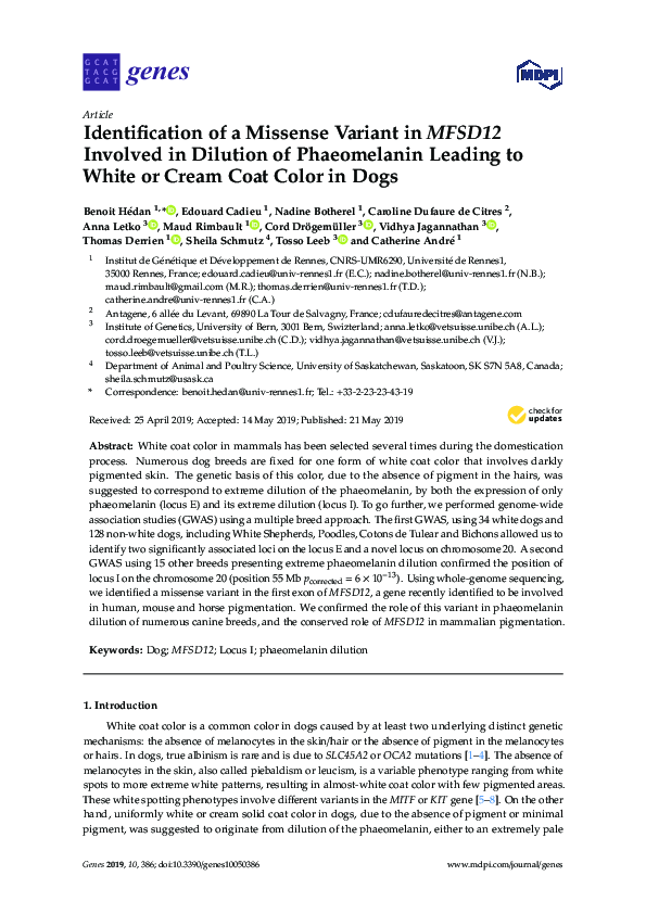 (PDF) Identification of a Missense Variant in MFSD12 Involved in ...