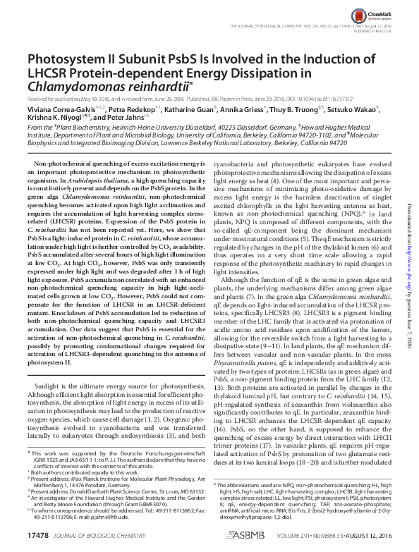 (PDF) Photosystem II Subunit PsbS is Involved in the Induction of LHCSR ...