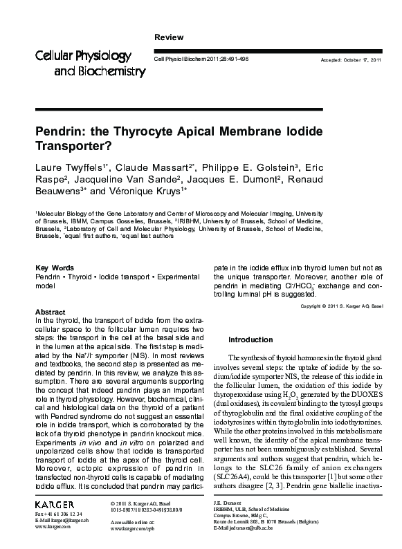 (PDF) Pendrin: the Thyrocyte Apical Membrane Iodide Transporter? | Eric ...