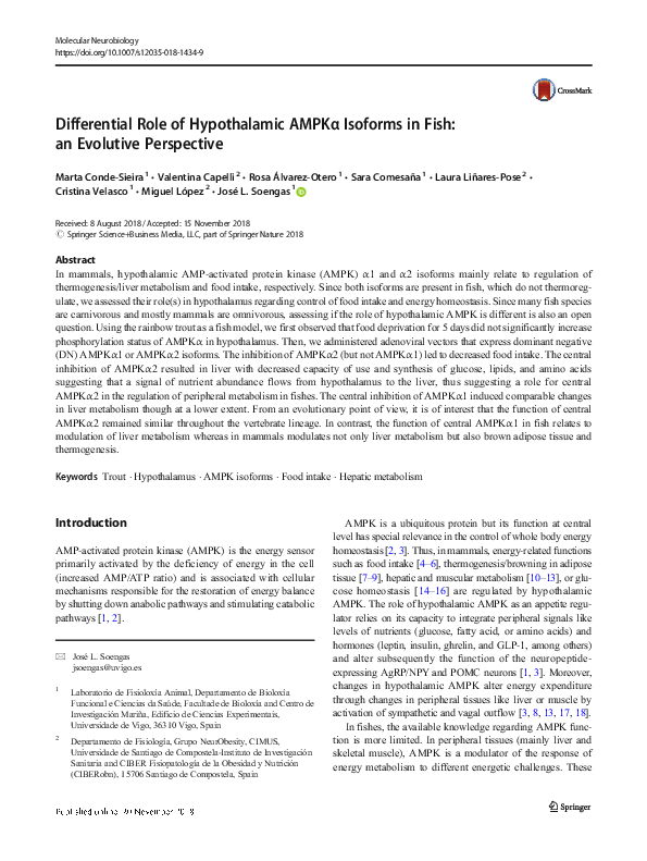 (PDF) Differential Role of Hypothalamic AMPKα Isoforms in Fish: an ...