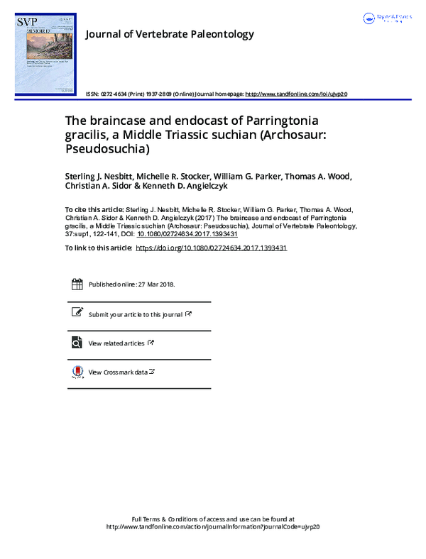 (PDF) The braincase and endocast ofParringtonia gracilis, a Middle ...
