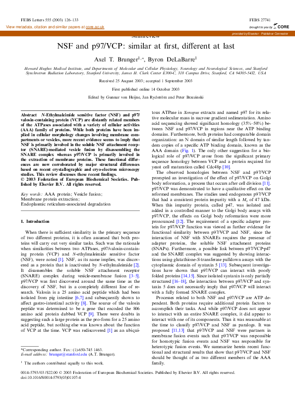 (PDF) NSF and p97/VCP: similar at first, different at last