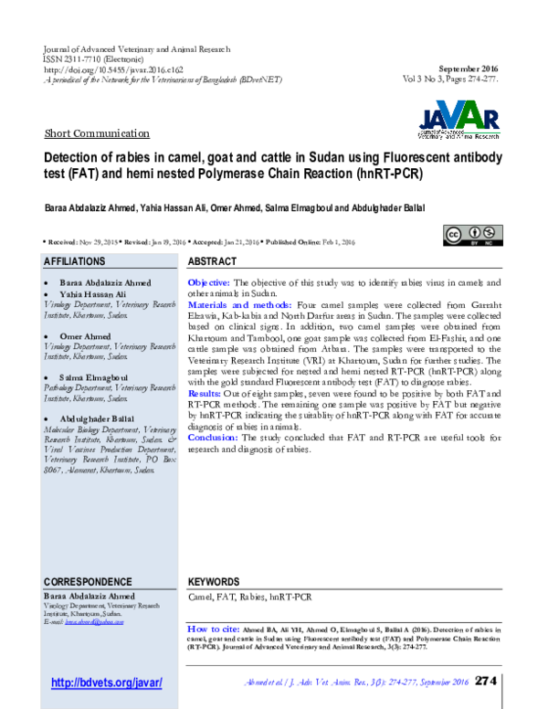 Pdf Detection Of Rabies In Camel Goat And Cattle In Sudan Using