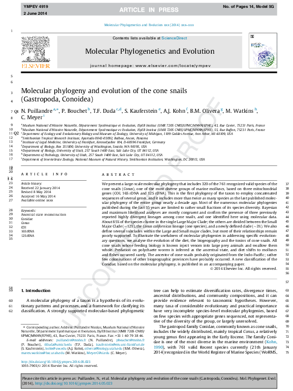 (PDF) Molecular phylogeny and evolution of the cone snails (Gastropoda ...