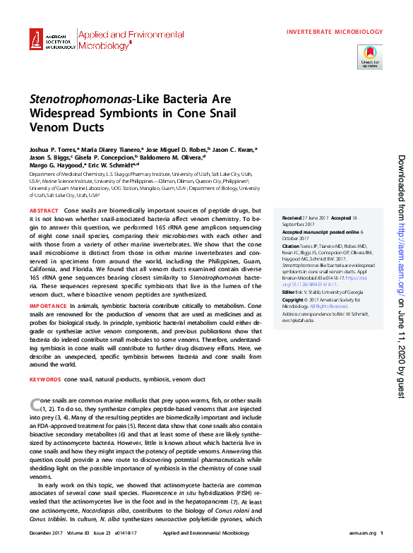 (PDF) Stenotrophomonas-like bacteria are widespread symbionts in cone ...