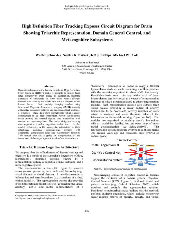 (PDF) High Definition Fiber Tracking Exposes Circuit Diagram for Brain Showing Triarchic ...