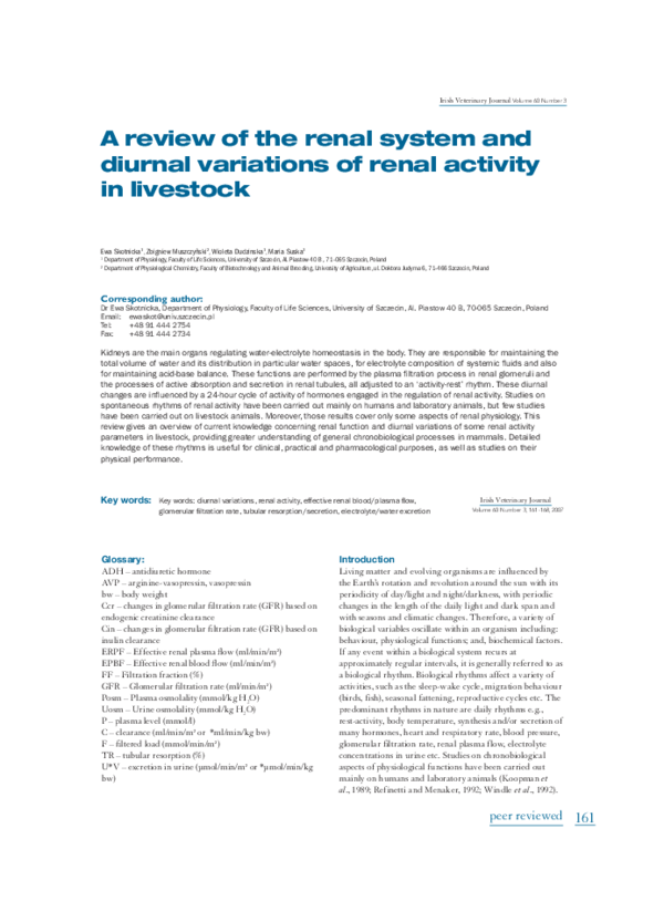 (PDF) A review of the renal system and diurnal variations of renal ...