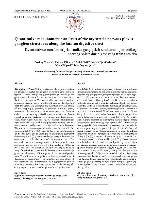 (PDF) Quantitative morphometric analysis of the myenteric nervous ...