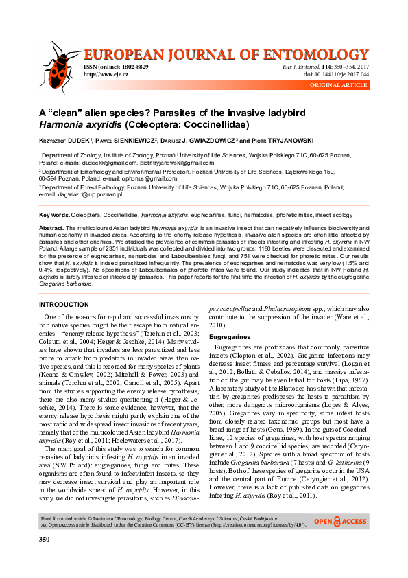 (PDF) A "clean" alien species? Parasites of the invasive ladybird ...