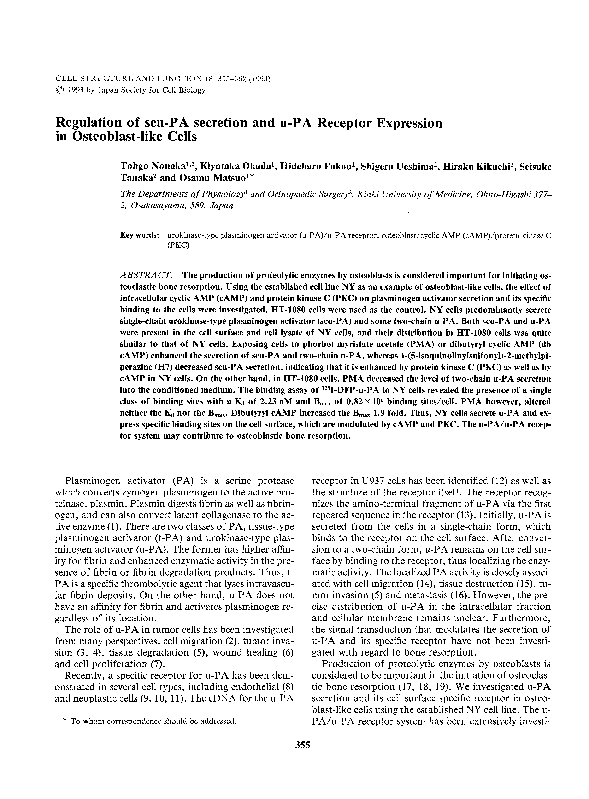 (PDF) Regulation of scu-PA secretion and u-PA Receptor Expression in ...