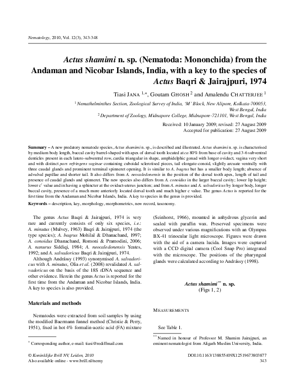 (PDF) Actus shamimi n. sp. (Nematoda: Mononchida) from the Andaman and ...