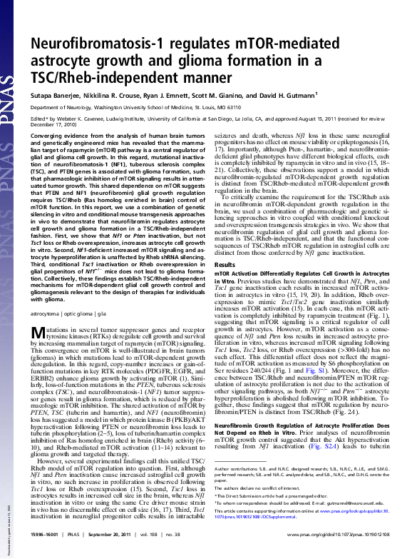 (PDF) Neurofibromatosis-1 regulates mTOR-mediated astrocyte growth and ...