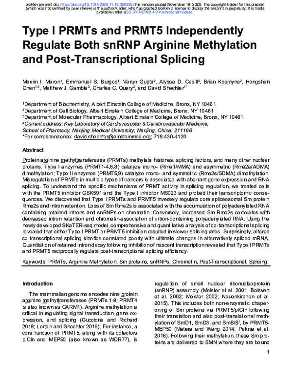 (PDF) Type I PRMTs and PRMT5 Independently Regulate Both snRNP Arginine ...