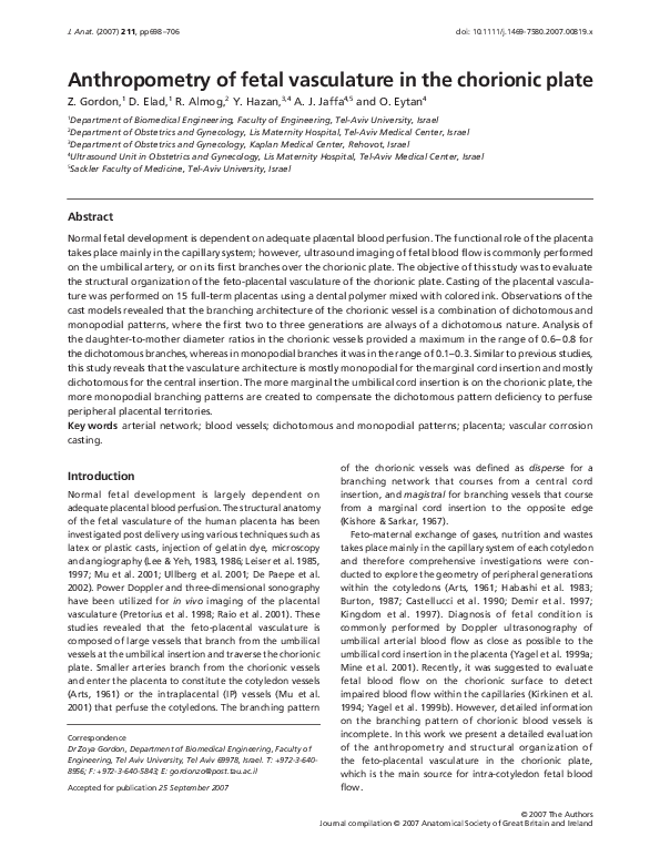 (PDF) Anthropometry of fetal vasculature in the chorionic plate