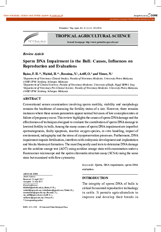 (PDF) Sperm DNA impairment in the bull: causes, influences on ...
