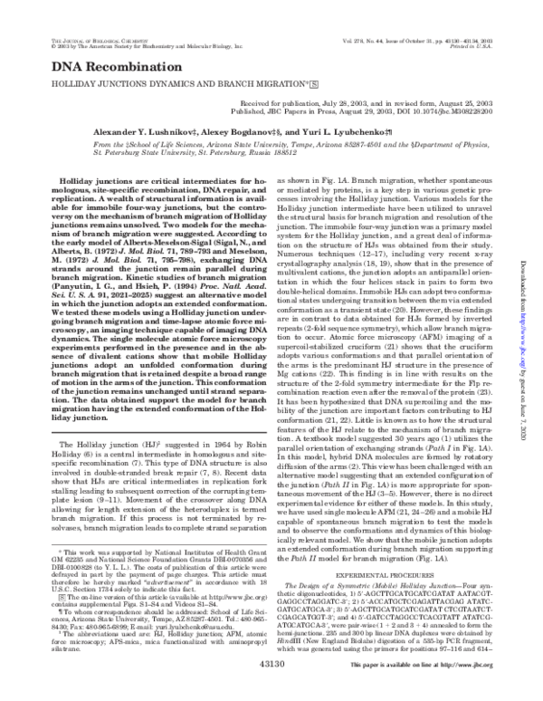 (PDF) DNA Recombination
