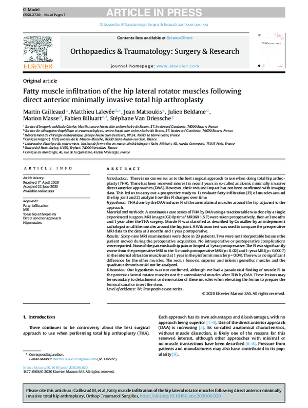 (PDF) Fatty muscle infiltration of the hip lateral rotator muscles ...