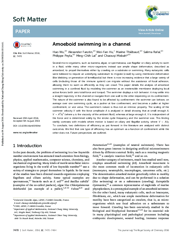 (PDF) Amoeboid swimming in a channel