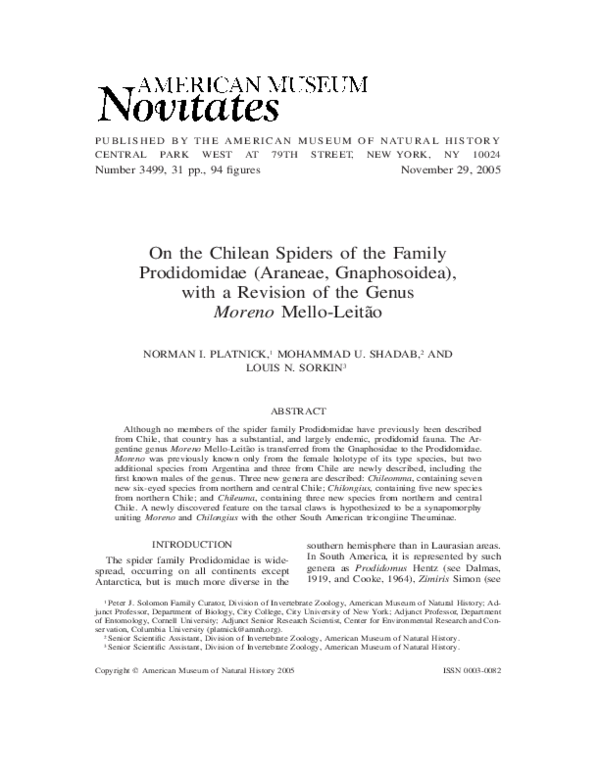 (PDF) On the Chilean Spiders of the Family Prodidomidae (Araneae ...