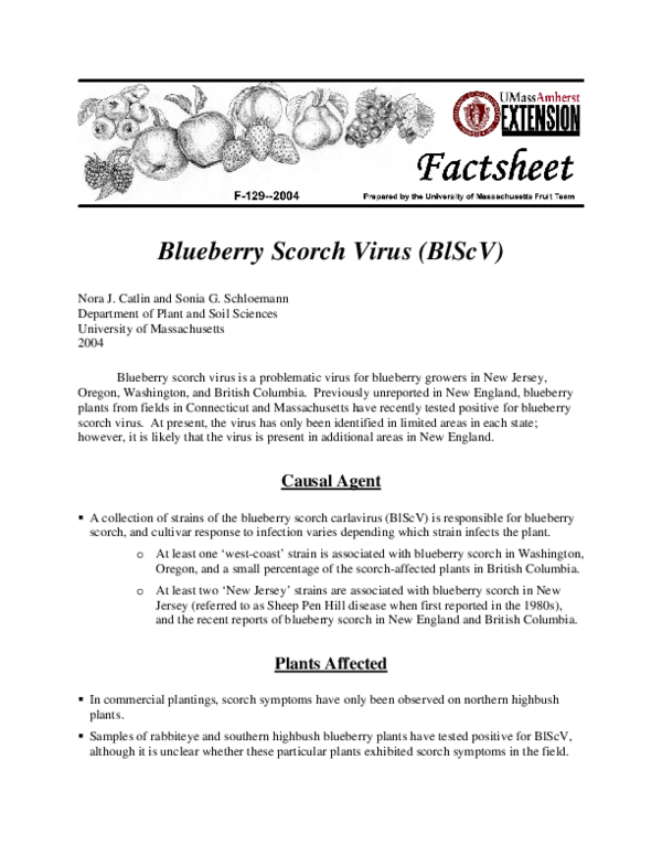(PDF) Blueberry Scorch Virus (BlScV)