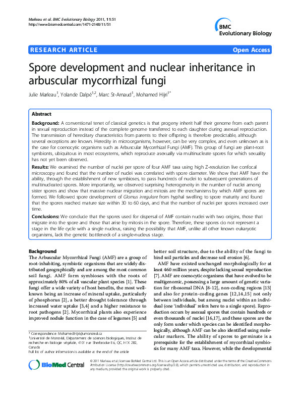 (PDF) Spore development and nuclear inheritance in arbuscular mycorrhizal fungi