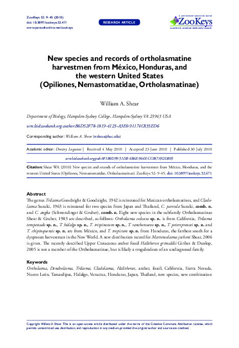 (PDF) New species and records of ortholasmatine harvestmen from Mexico ...