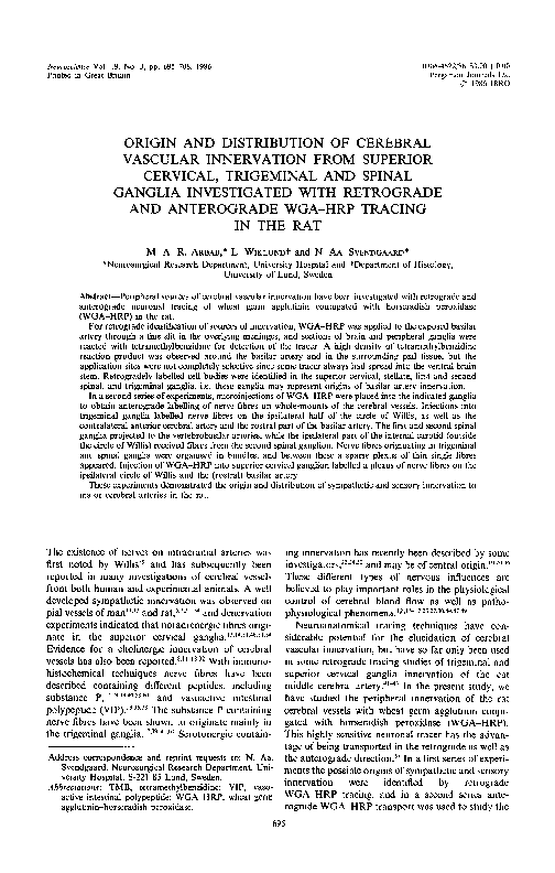 (PDF) Origin and distribution of cerebral vascular innervation from ...